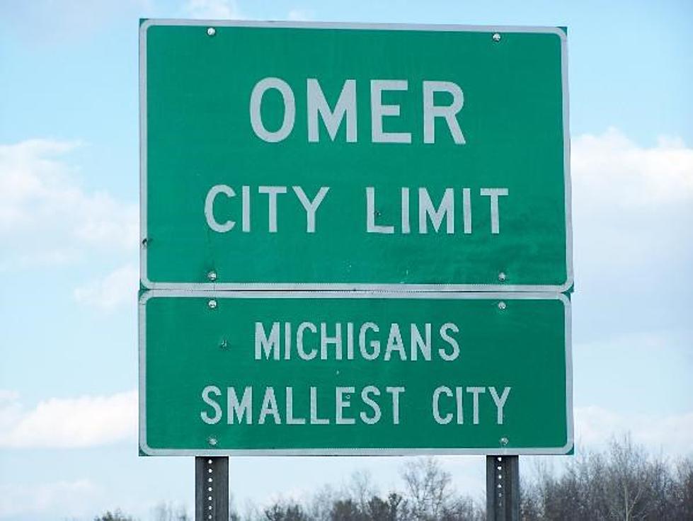 Omer, Michigan | Ramblings of a Misguided Blonde